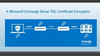 Microsoft Exchange Server & SSL Certificates: Everything you need to ...
