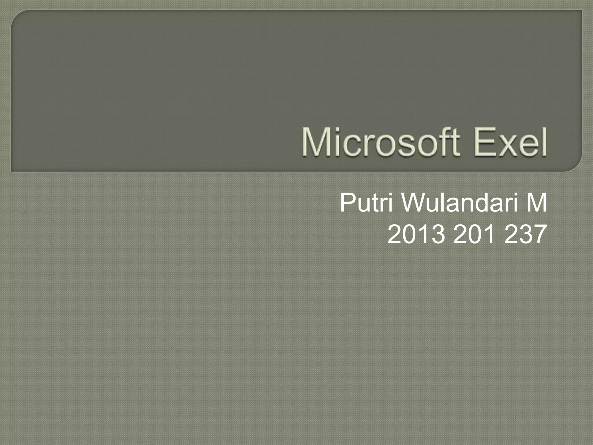 Microsoft exel | PPT