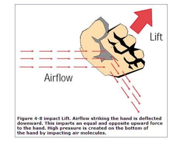Microsoft Flight Simulator | PPTX | Air Travel | Travel Type