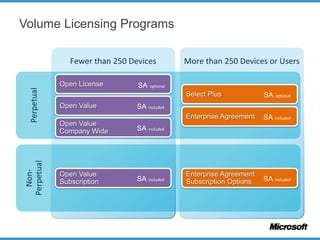 Microsoft Licensing Options | PPT