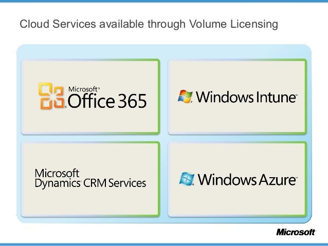 Microsoft Licensing Options