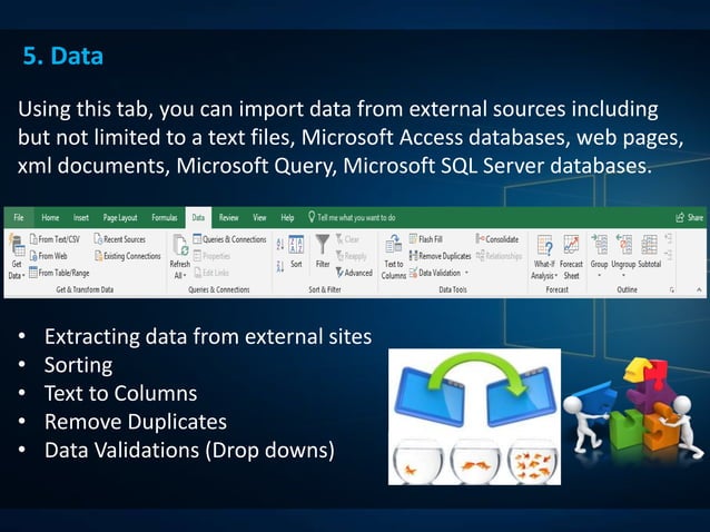 Microsoft Office Introduction | PPTX | Email | Internet