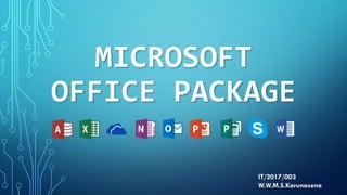 Microsoft office package | PDF