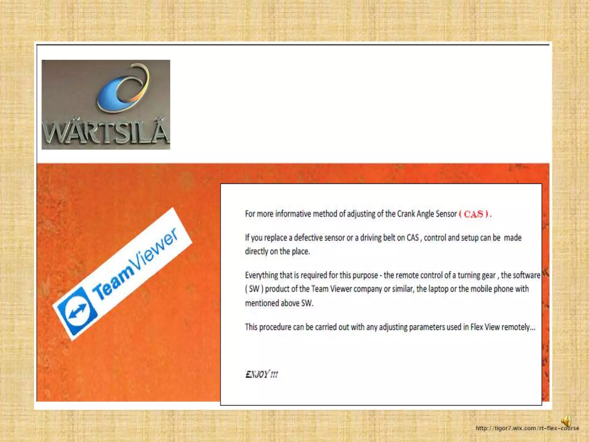 RT Flex Engine CAS adjusting | PPTX
