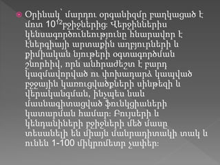 презентация Microsoft office power point (2) | PPT