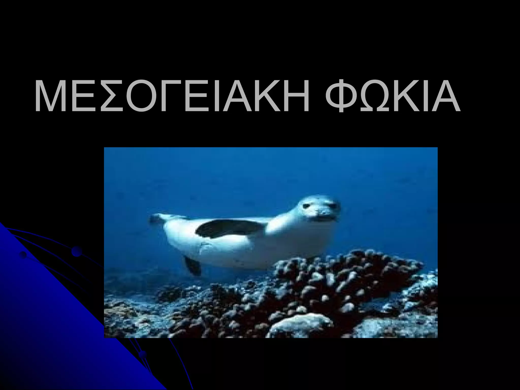 ΜΕΣΟΓΕΙΑΚΗ ΦΩΚΙΑ -ΣΤ'1 | PPT