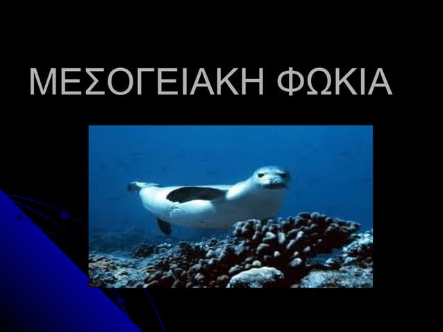 ΜΕΣΟΓΕΙΑΚΗ ΦΩΚΙΑ -ΣΤ'1 | PPT