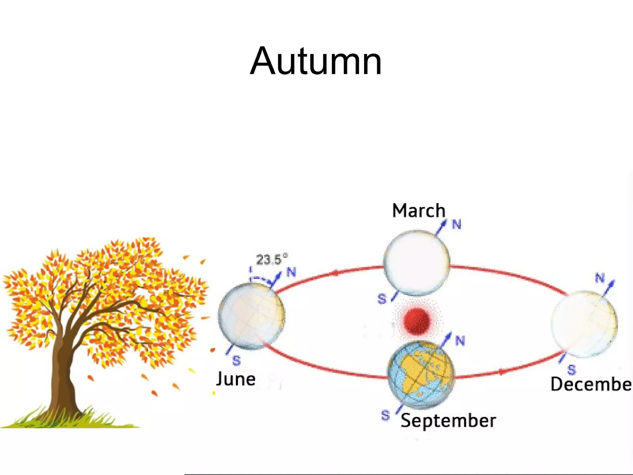 the seasons change | PPT