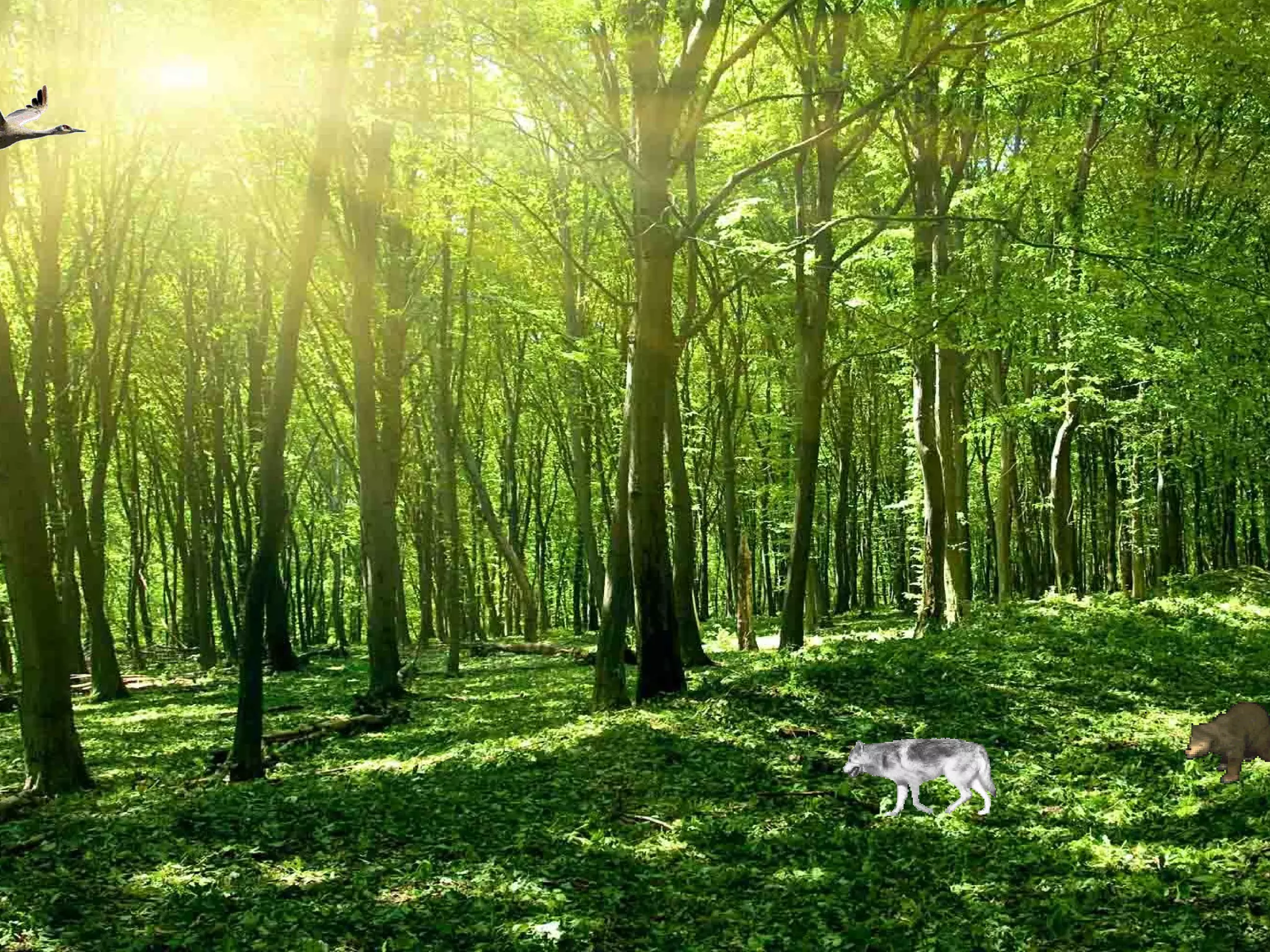 презентация Microsoft power point | PPT