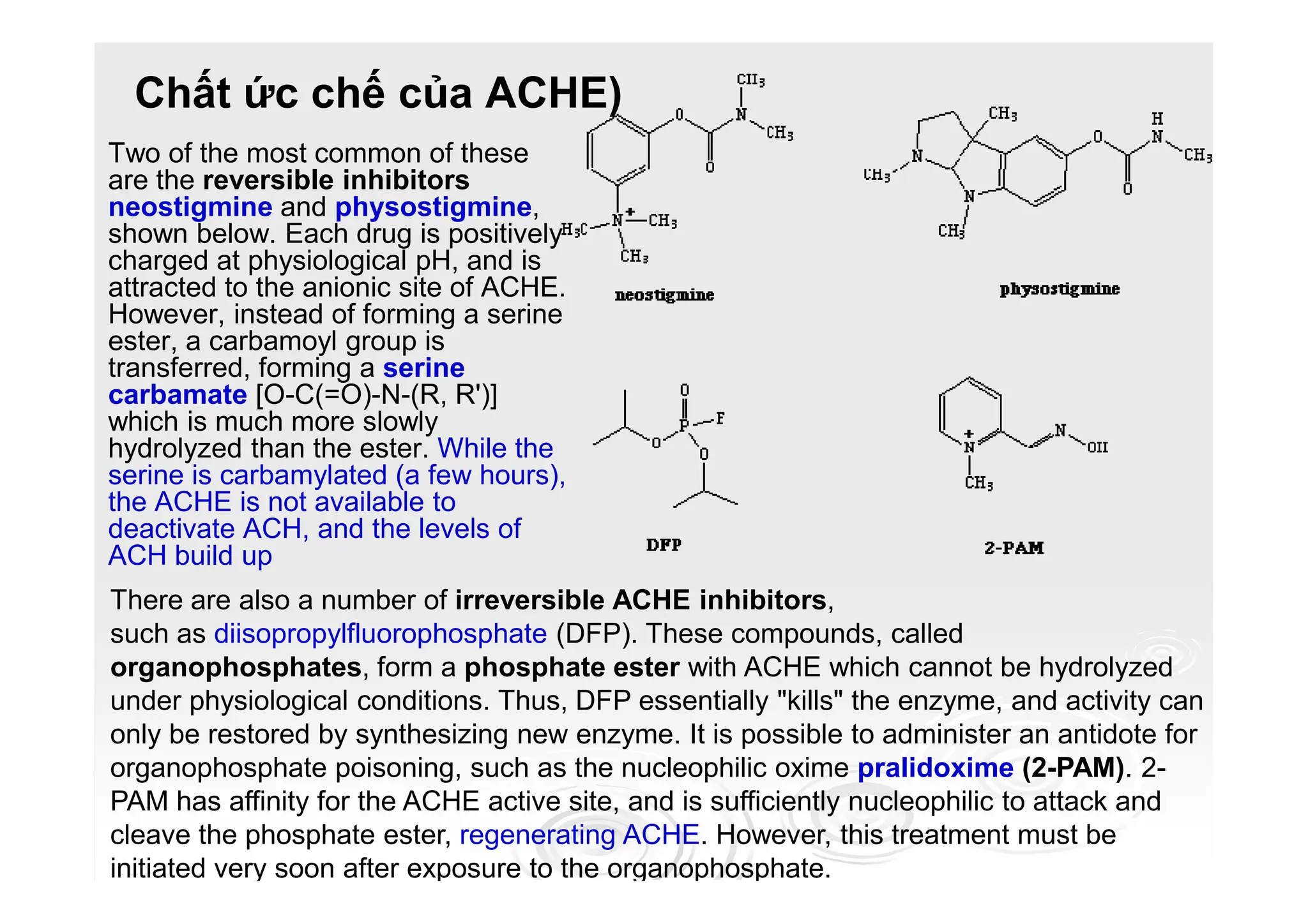 Microsoft PowerPoint - 2012_INHIBITION.pdf