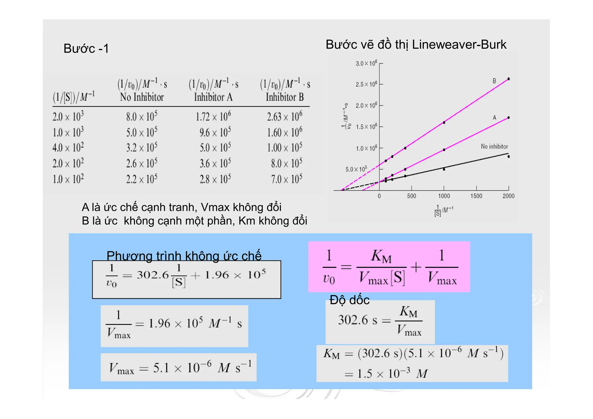 Microsoft PowerPoint - 2012_INHIBITION.pdf