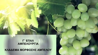 ΠΑΔ.3.ΚΛΑΔΕΜΑ ΜΟΡΦΩΣΗΣ ΑΜΠΕΛΟΥ ΣΤΑ ΠΛΑΙΣΙΑ ΤΗΣ ΑΣΠΑΙΤΕ | PPT