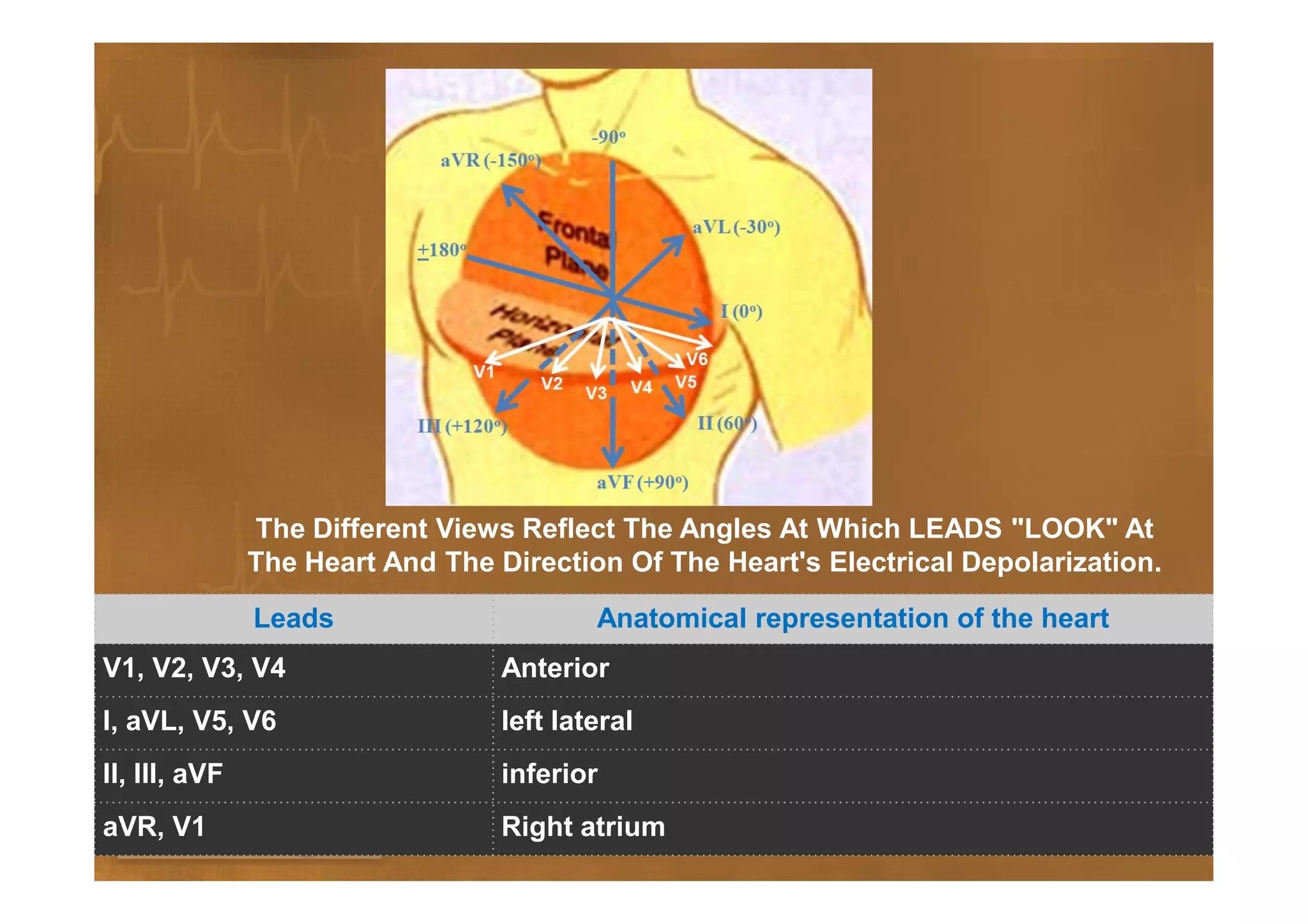 Basics of ECG | PDF