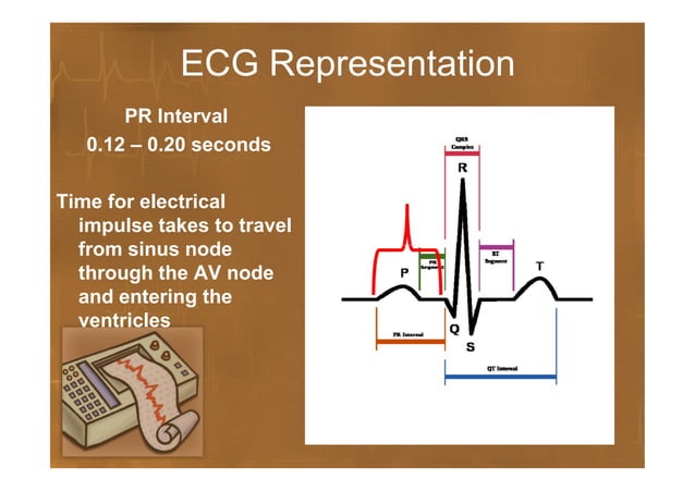 Basics of ECG | PPT