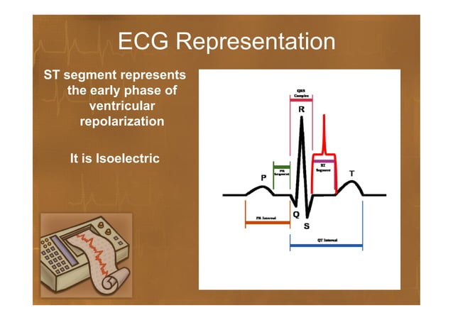Basics of ECG | PDF | Heart and Cardiovascular Diseases | Diseases and ...