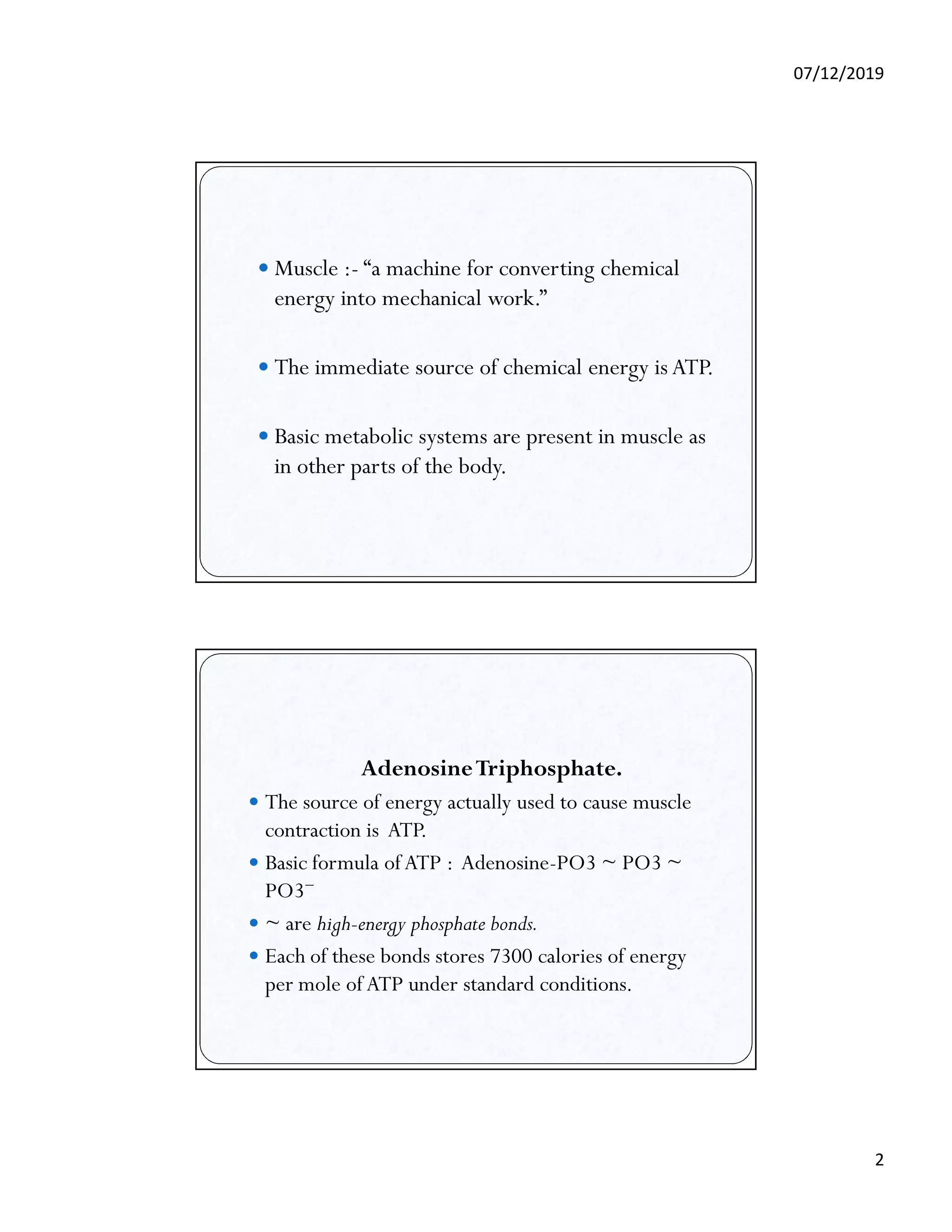 Microsoft power point explain energy source and muscle metabolism | PDF