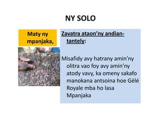 Fiompiana mpanjakan-tantely | PDF