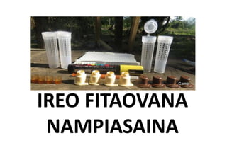 Fiompiana mpanjakan-tantely | PDF