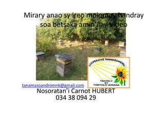 Fiompiana mpanjakan-tantely | PDF