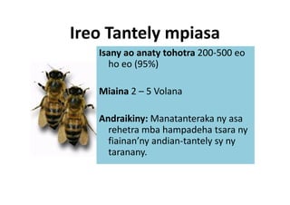 Fiompiana mpanjakan-tantely | PDF
