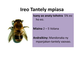 Fiompiana mpanjakan-tantely | PDF
