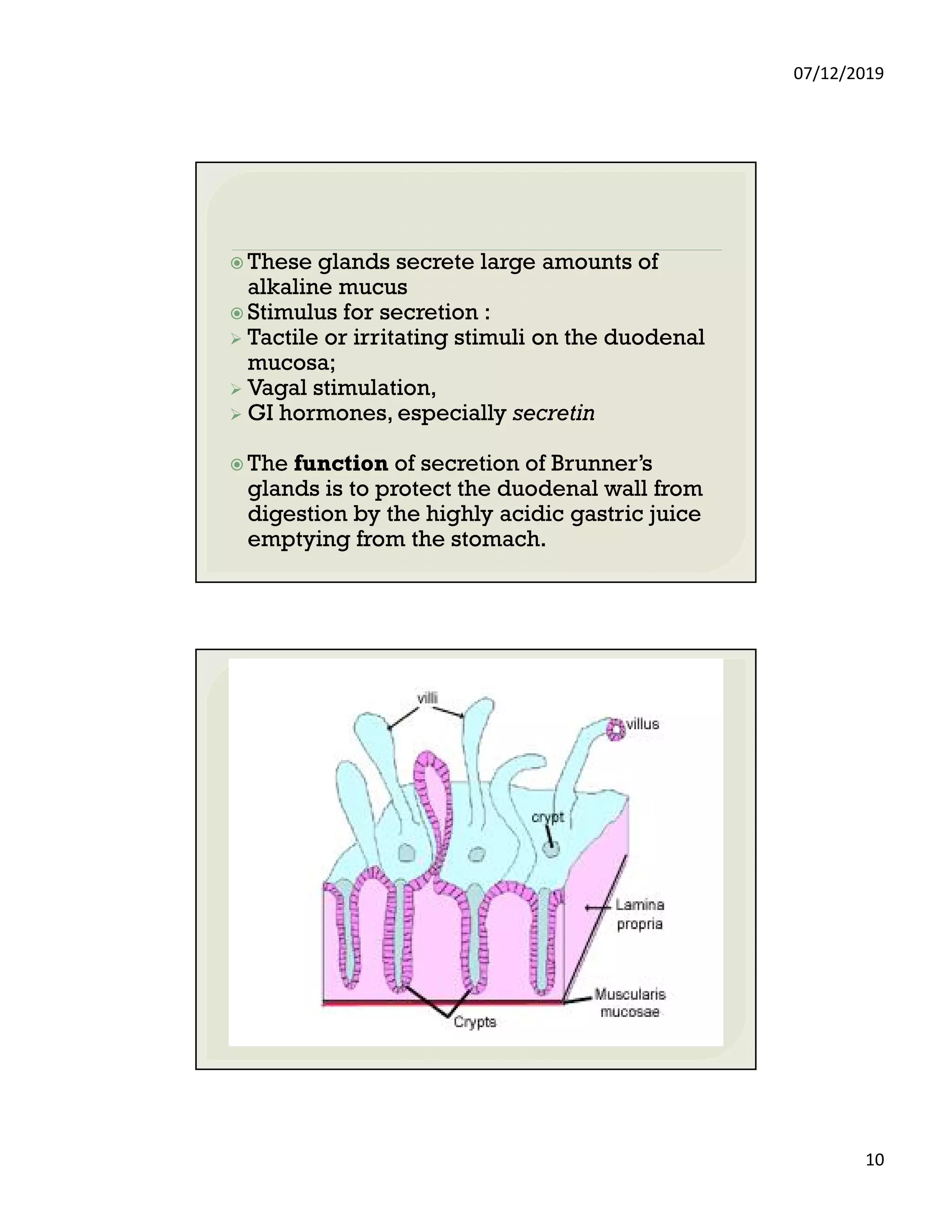 Microsoft power point intestinal & biliary secretion | PDF