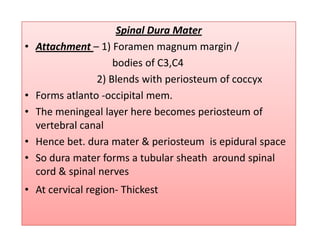 Meninges & and CSF | PDF