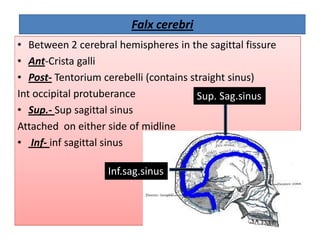 Meninges & and CSF | PPT