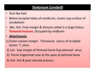 Meninges & and CSF | PDF