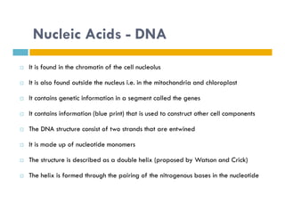 Microsoft PowerPoint - Nucleic acids (3).pdf