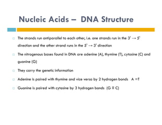 Microsoft PowerPoint - Nucleic acids (3).pdf