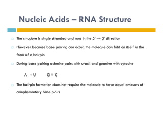 Microsoft PowerPoint - Nucleic acids (3).pdf