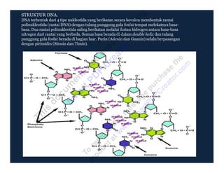 Microsoft power point seminar | PPT