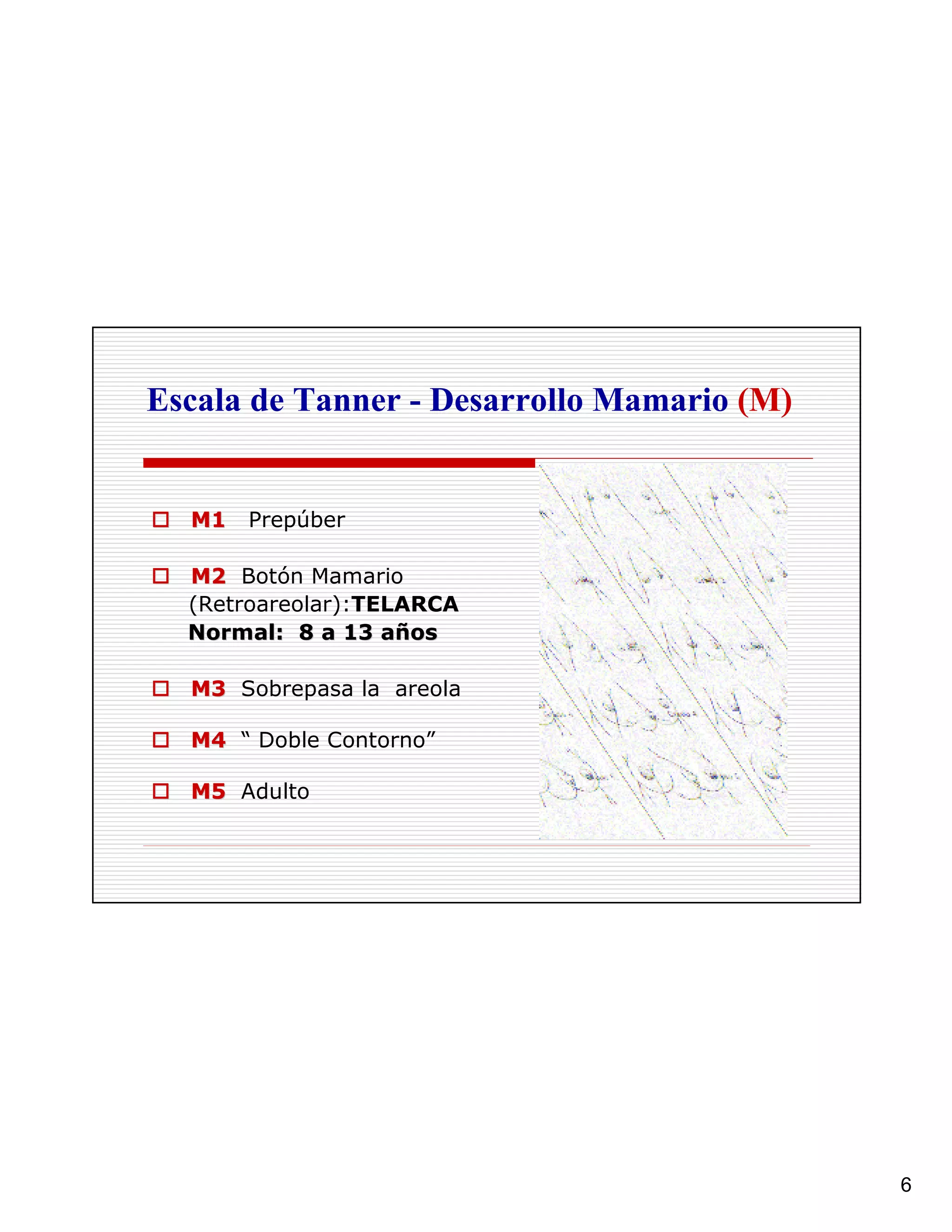 Microsoft Power Point Sexualidad En Adolescente Escala Tanner | PDF