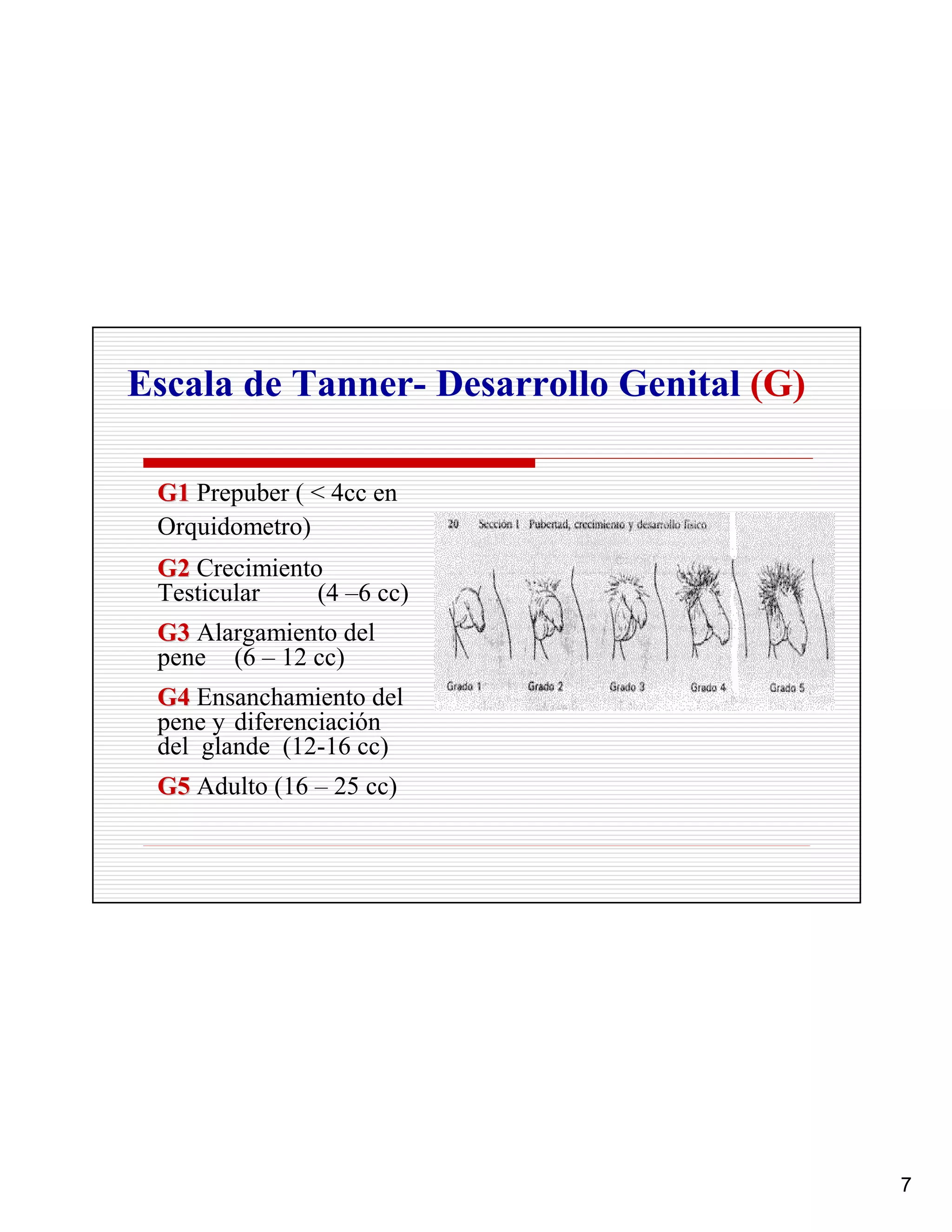 Microsoft Power Point Sexualidad En Adolescente Escala Tanner Pdf