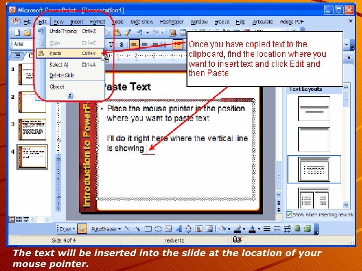 Microsoft Powerpoint 2003