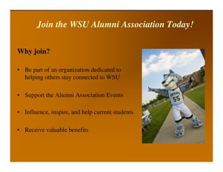 Microsoft Power Point Wright State University Presentation | PDF