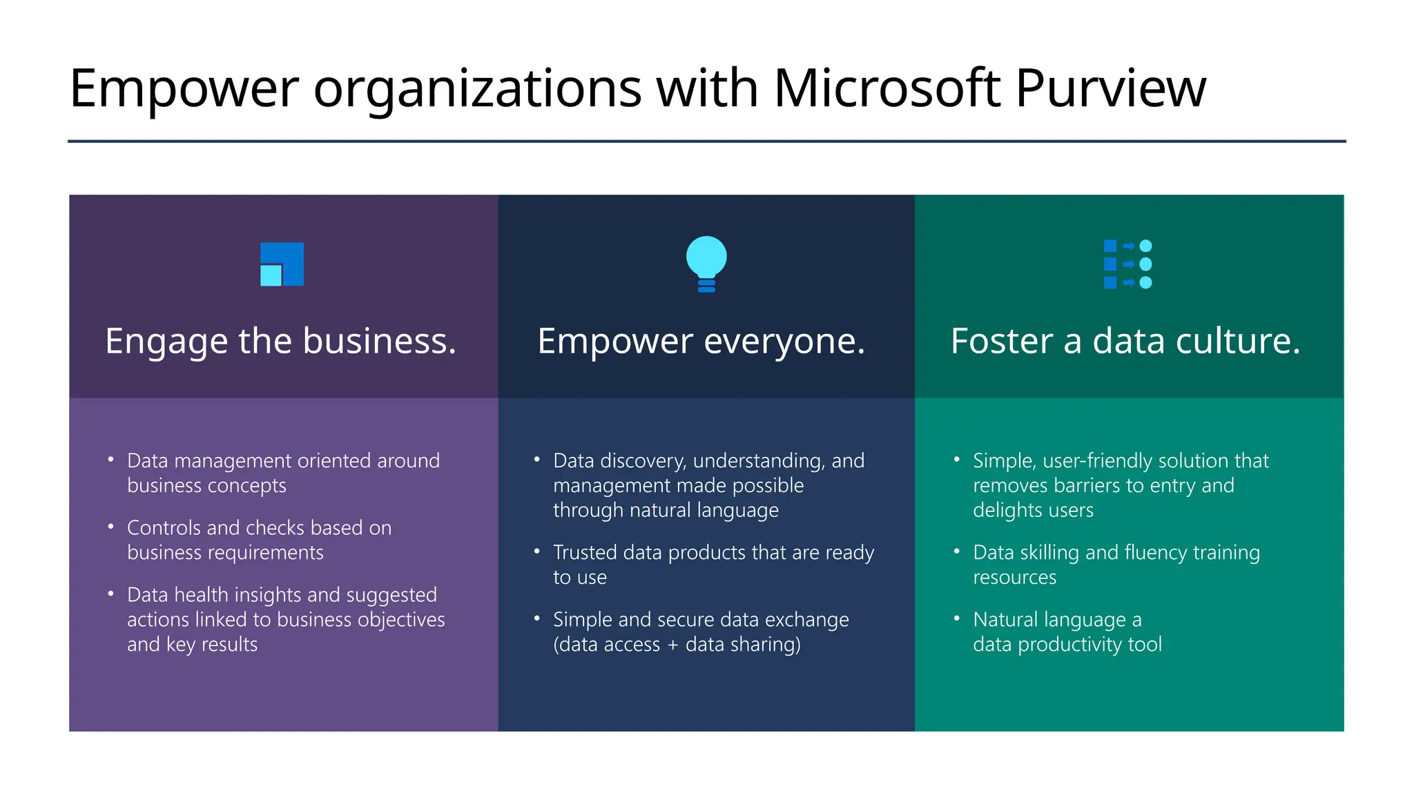 Microsoft Purview Data Governance L100 Pitch Deck.PPTX