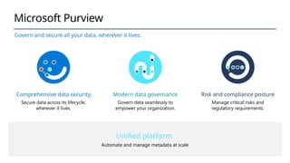 Microsoft Purview Data Governance L100 Pitch Deck.PPTX