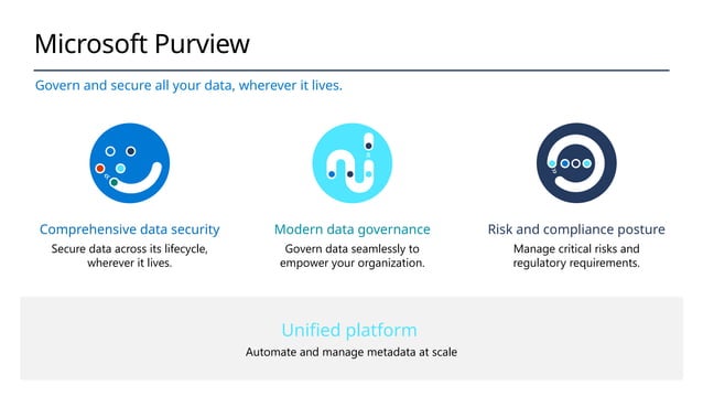 Microsoft Purview Data Governance L100 Pitch Deck.PPTX | Databases ...