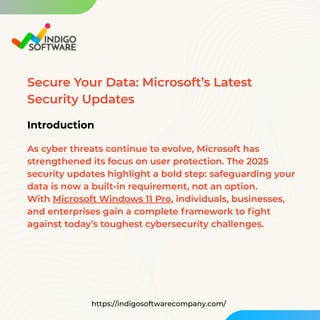 Microsoft Windows 11 Pro: 2025 Security Updates Overview | PDF
