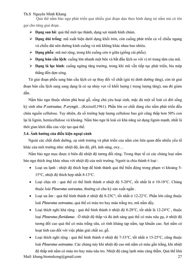 Microsoft word giao trinh trong nam - khang | PDF