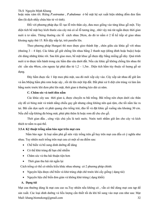 Microsoft word giao trinh trong nam - khang | PDF