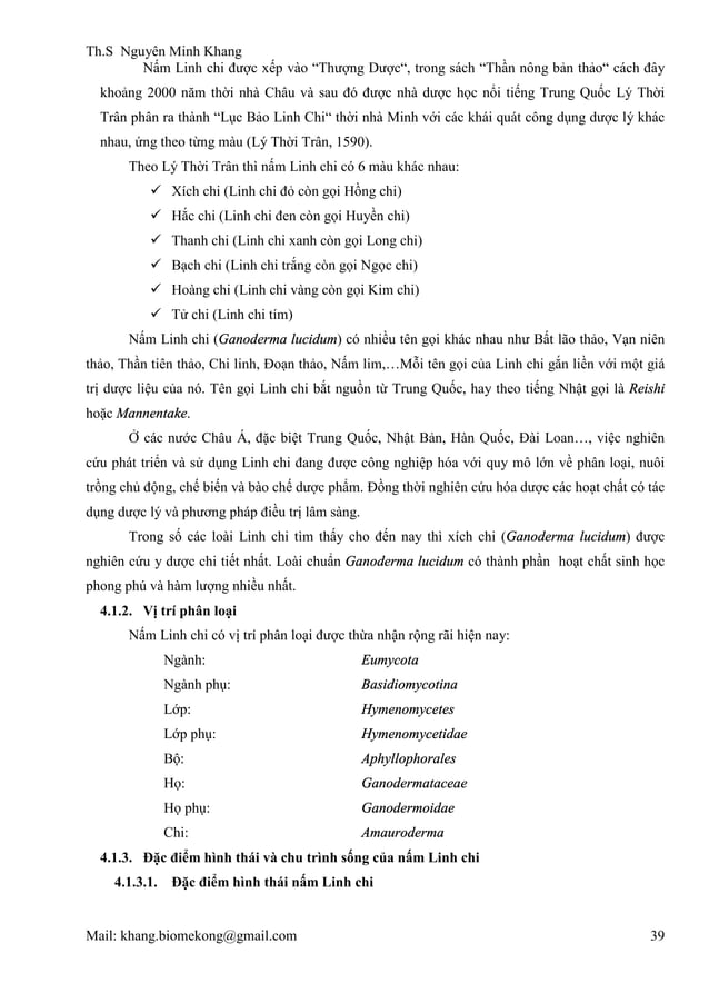 Microsoft word giao trinh trong nam - khang | PDF