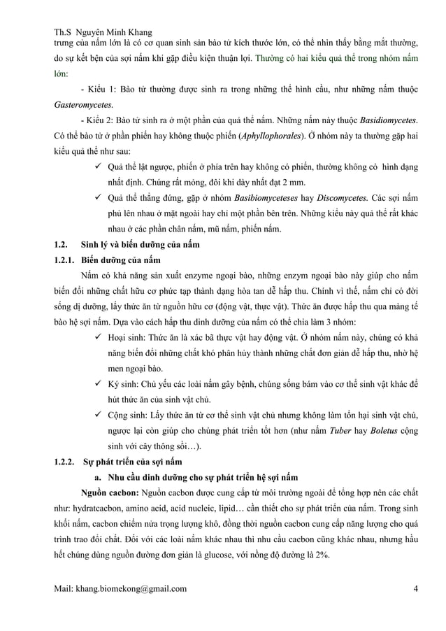 Microsoft word giao trinh trong nam - khang | PDF