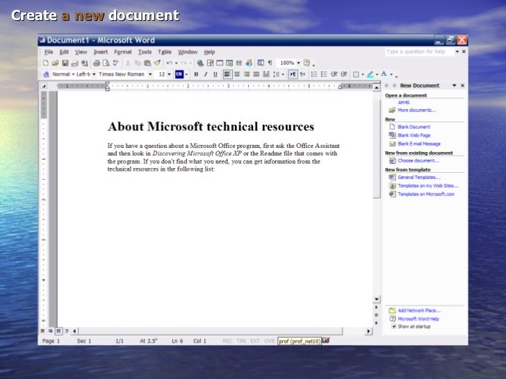 Microsoft word xp