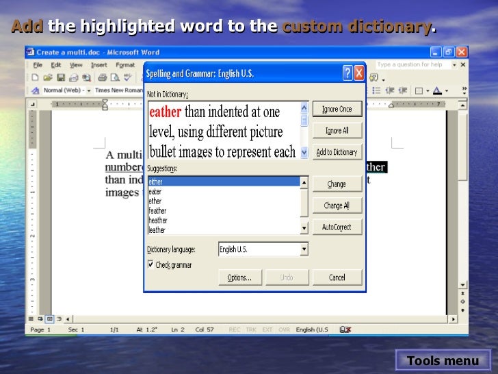 Microsoft word xp
