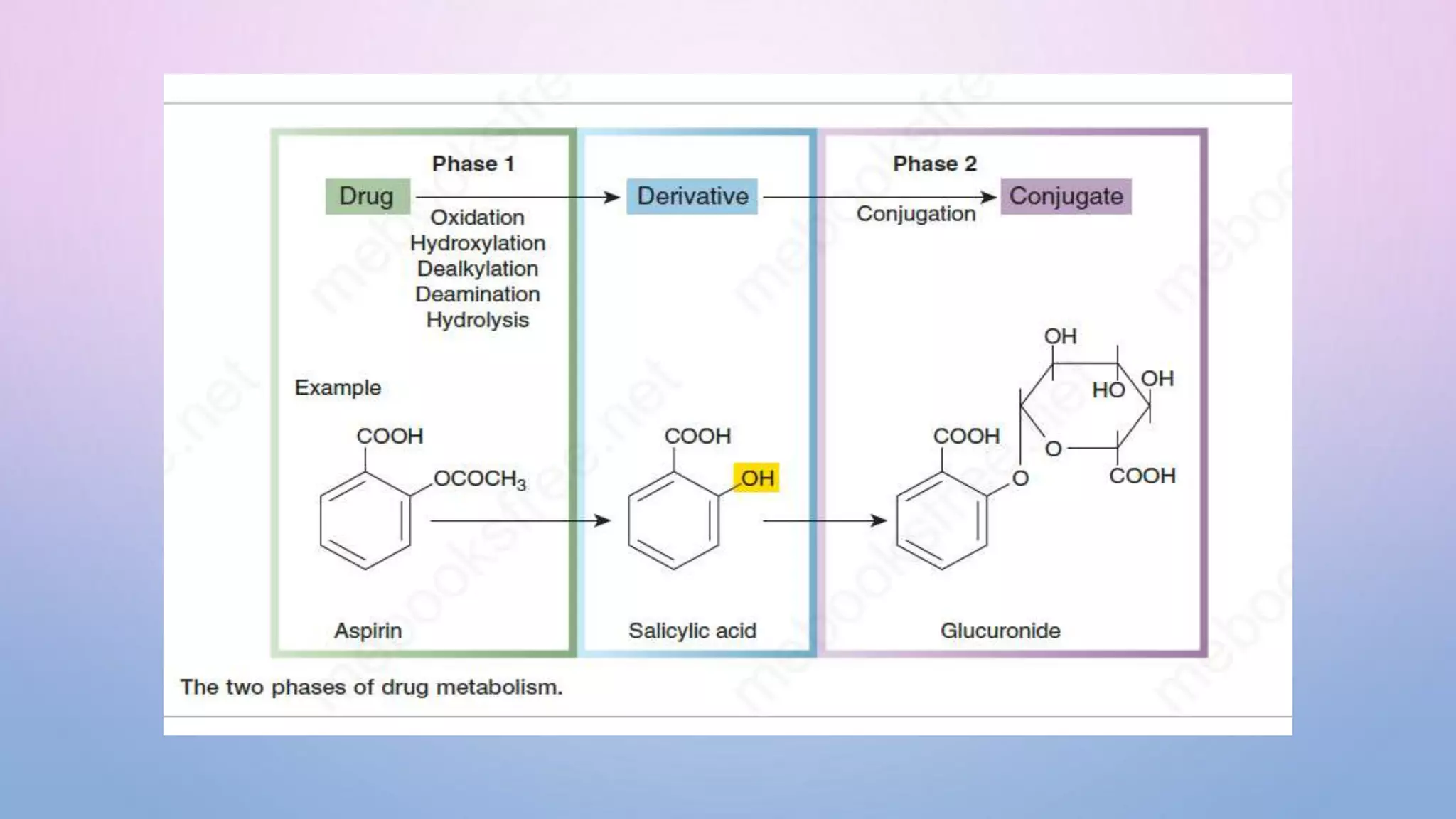 Microsomal enzyme induction | PPTX