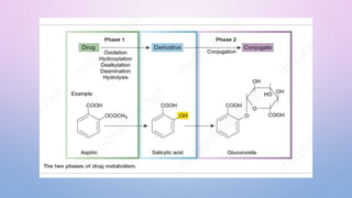 Microsomal enzyme induction | PPTX