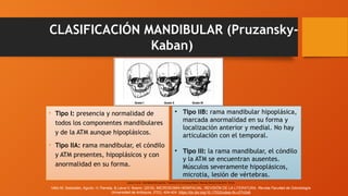Microsomía hemifacial - Ortodoncia -2.pptx